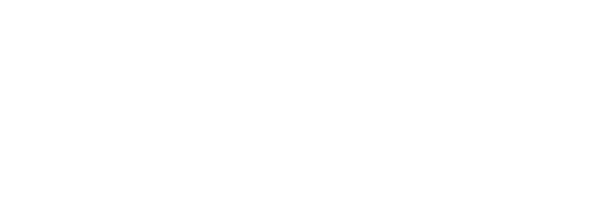 Cumpleaños Elsa Murillo